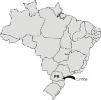 Internship in Curitiba - Intern Brazil
